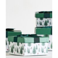 Tree Scene Gift Box Green M - Dunnes Stores