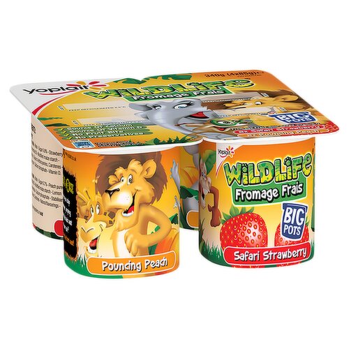 Wildlife Kids Strawberry & Peach Yoghurt Pots 4 x 85g - Dunnes Stores