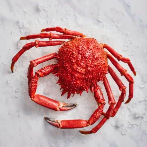 Dunnes Stores Fishmonger Whole Cooked Irish King Crab 1kg - Dunnes Stores
