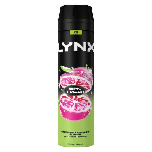 Lynx Aerosol Body Spray Epic Fresh 250 ml - Dunnes Stores