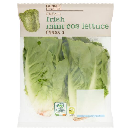 Dunnes Stores Fresh Irish Mini Cos Lettuce - Dunnes Stores