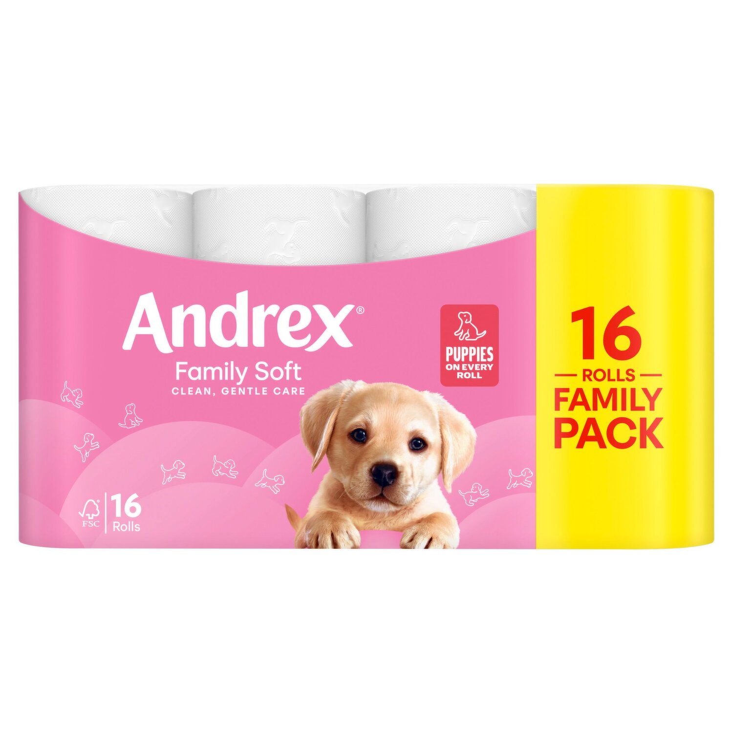 Andrex toilet paper store